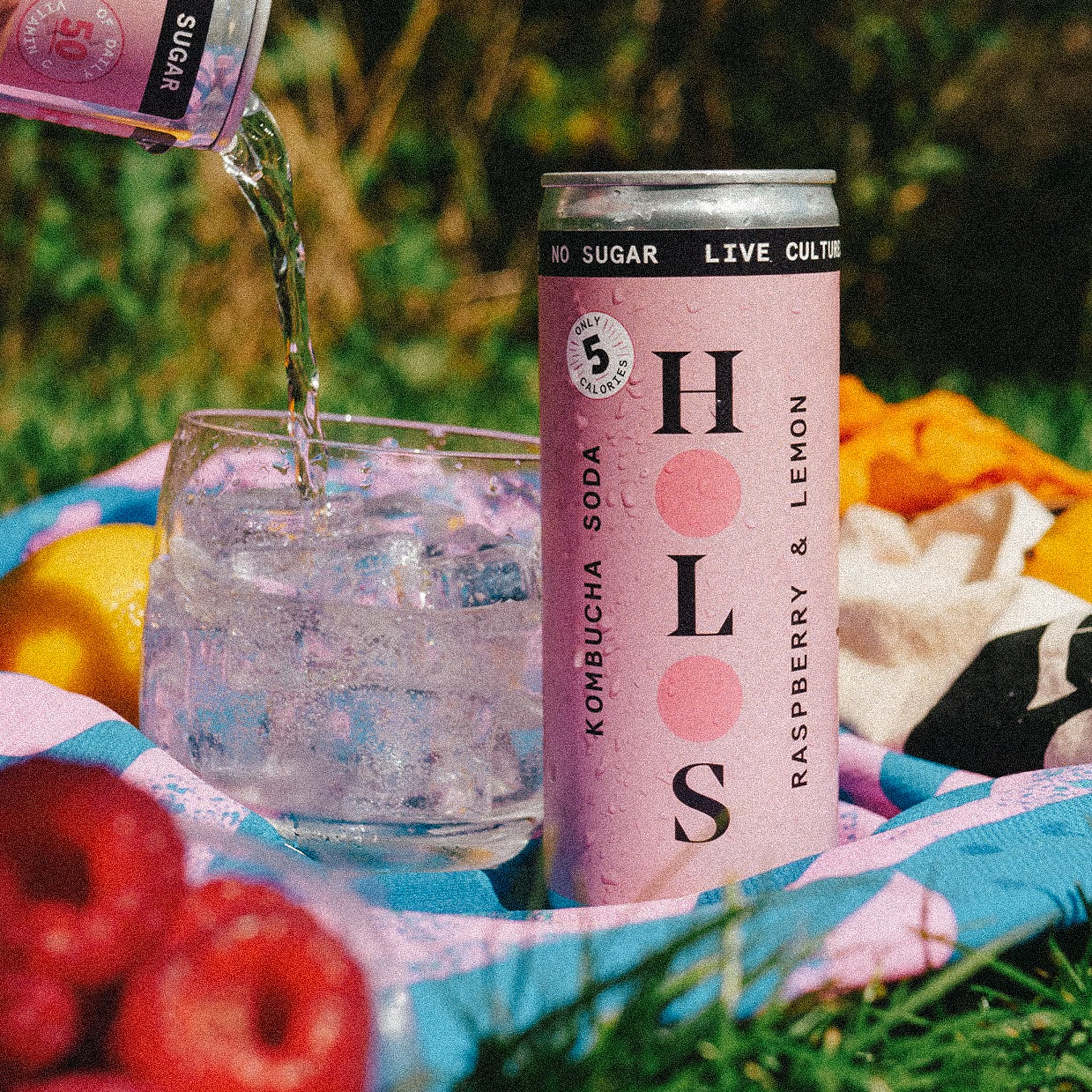 HOLOS Raspberry & Lemon Kombucha Soda - Nought Drinks
