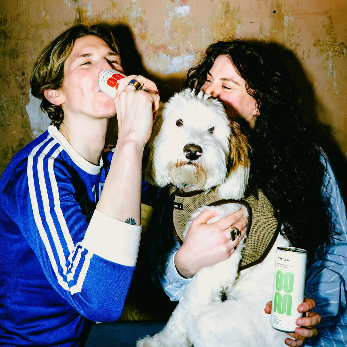 Nought Drinks | Non Alcoholic Drinks and Low Alcohol Drinks Store | UK